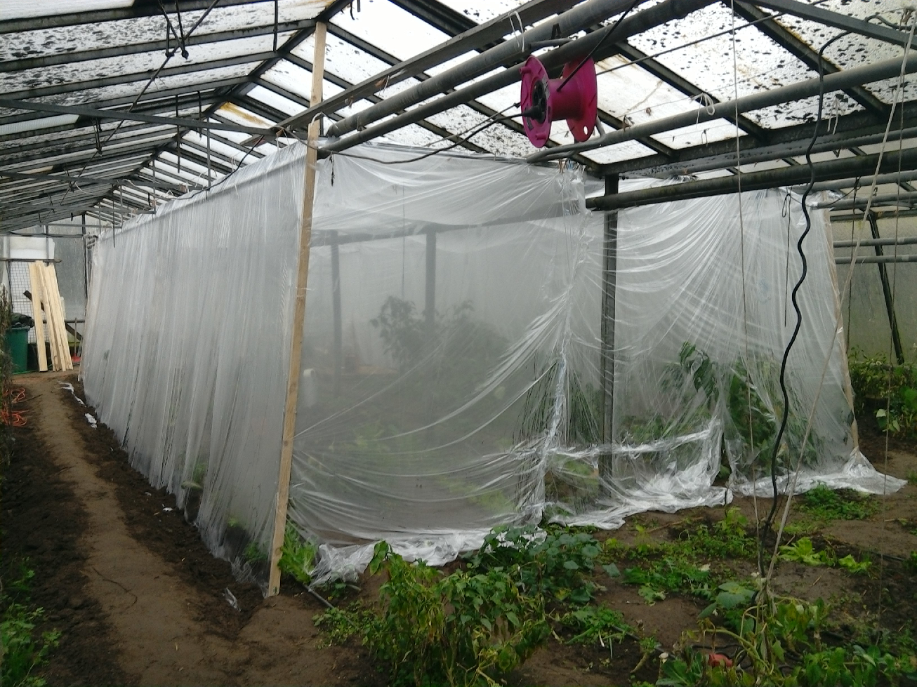 Biomeiler zur Glashausbeheizung für Wintergemüse | LoBauer:innen